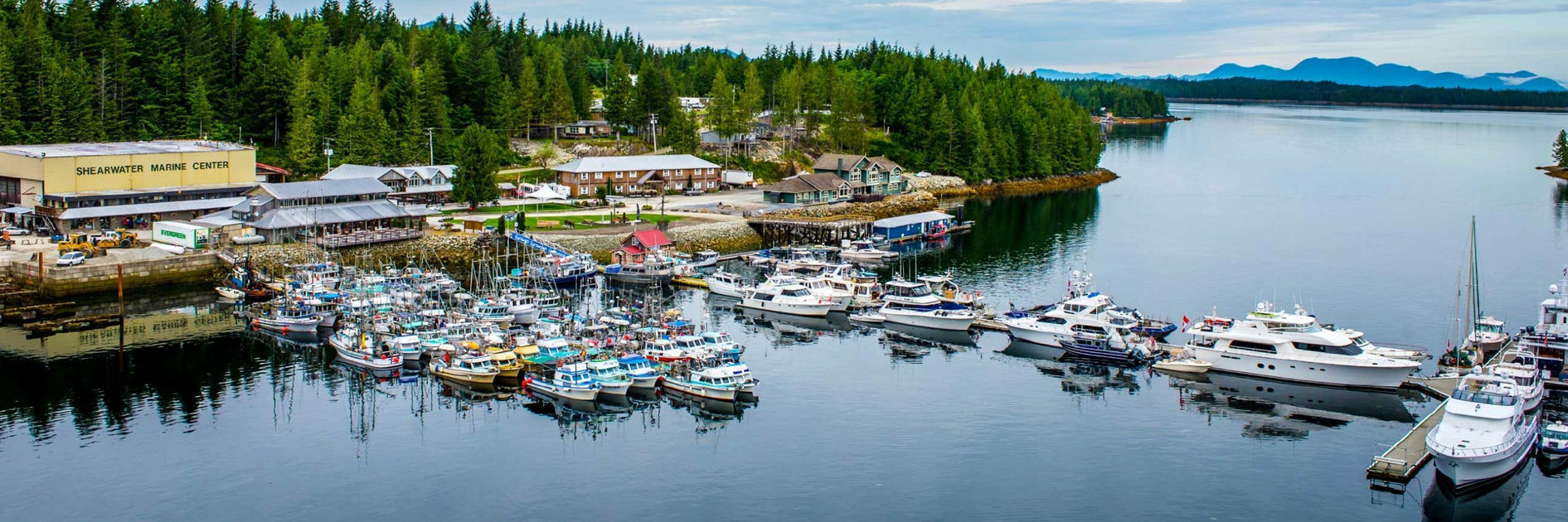 Fishing Hot Spots, Tips & Tactics - Shearwater — Gibbs Fishing